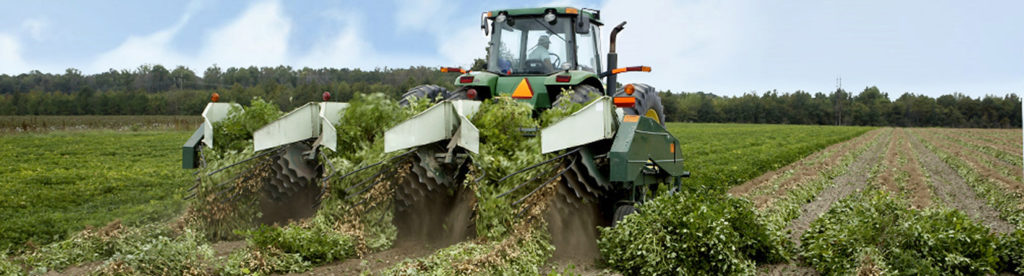 About Us/History – Careers Hampton Farms