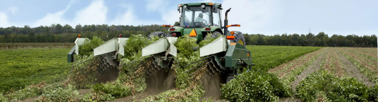 About Us/History – Careers Hampton Farms